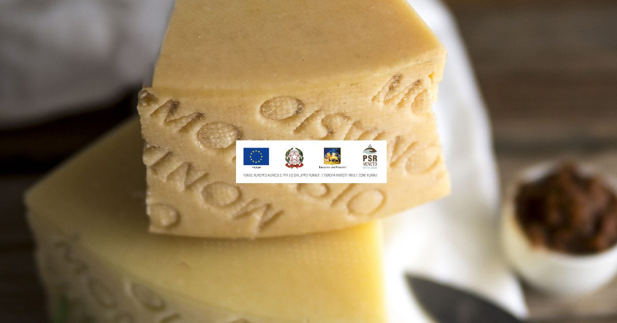 Consorzio Montasio – Formaggio DOP dal sapore unico